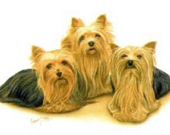 Yorkie Fabric Panel - Etsy