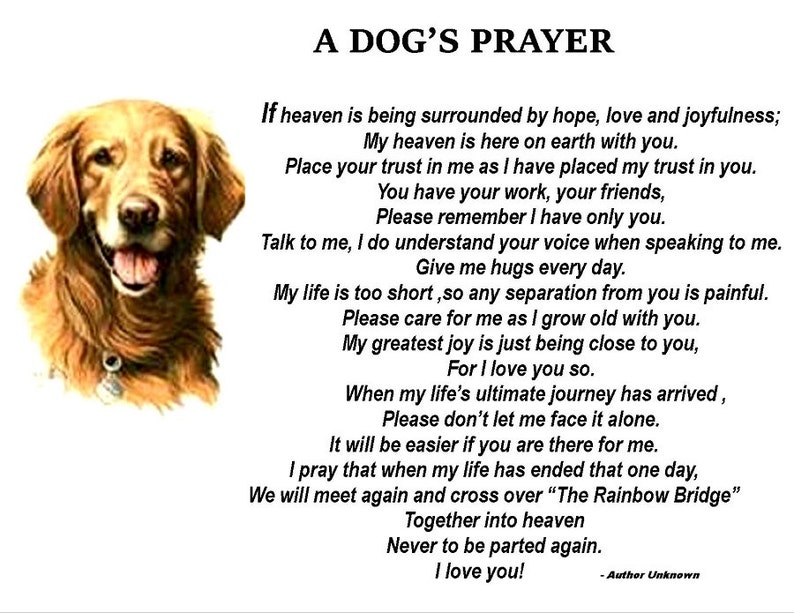 GOLDEN RETRIEVER: A Dog's Prayer on ONE 16 | Etsy