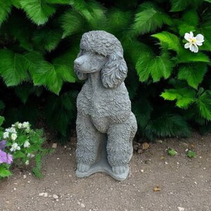 Concrete Sitting Poodle Statue, Backyard Large Dog Figurine, Garden ...