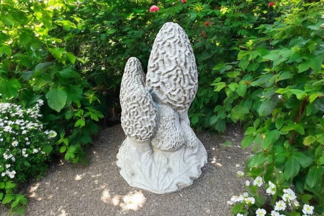 Outdoor Realistic Morel Sculpture, Yard Forest Mushrooms Art, Beton ...