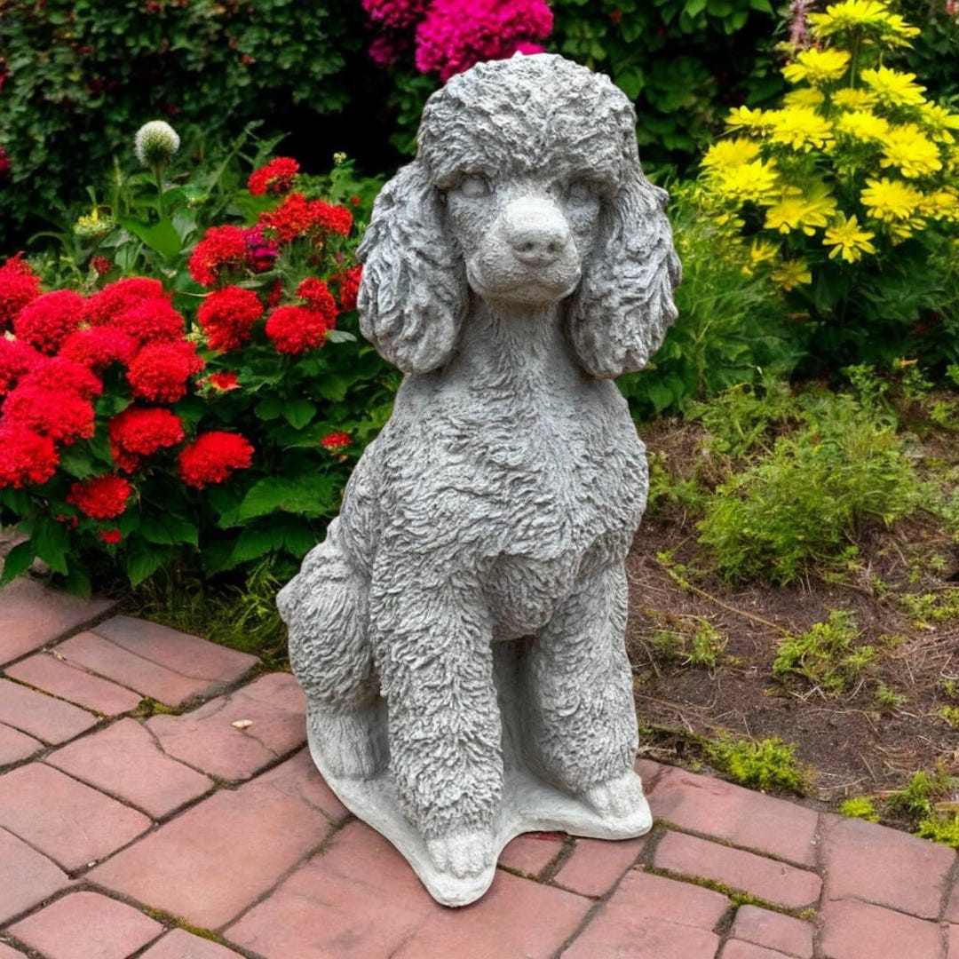 Stone Poodle Figure, Garden Pet Idea, Lawn Dog Ornament, Realistic ...