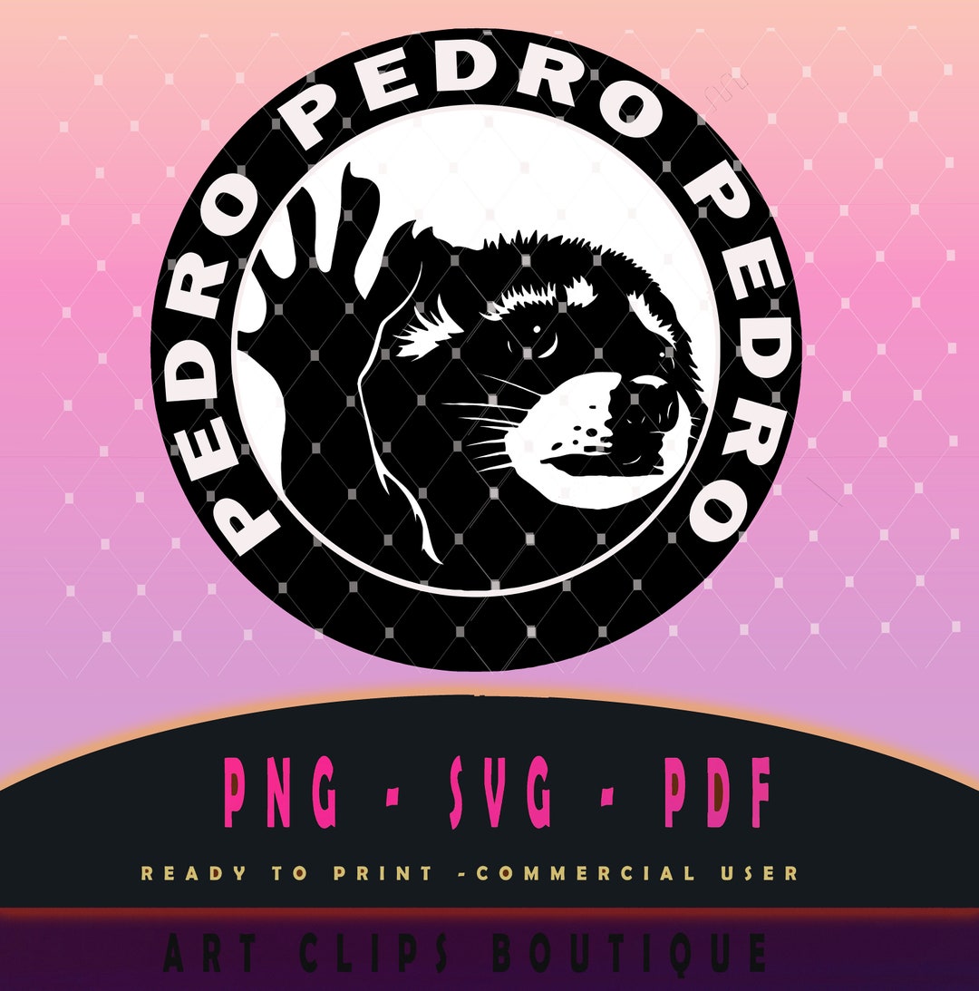 Pedro Pe Raccoon, Tik Tok Viral Raccon Png, Raccon Pedro SVG, Tik Tok ...