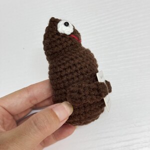 Funny Crochet Poo With Sunflower,positive Poo,emotional Support Plant ...