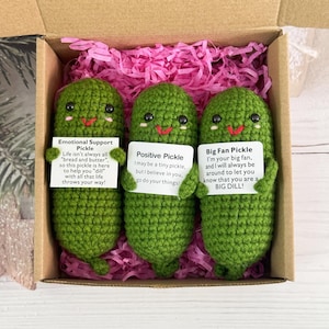 Handmade Crochet Pickle With Chill Pills-emotional Support-crochet ...