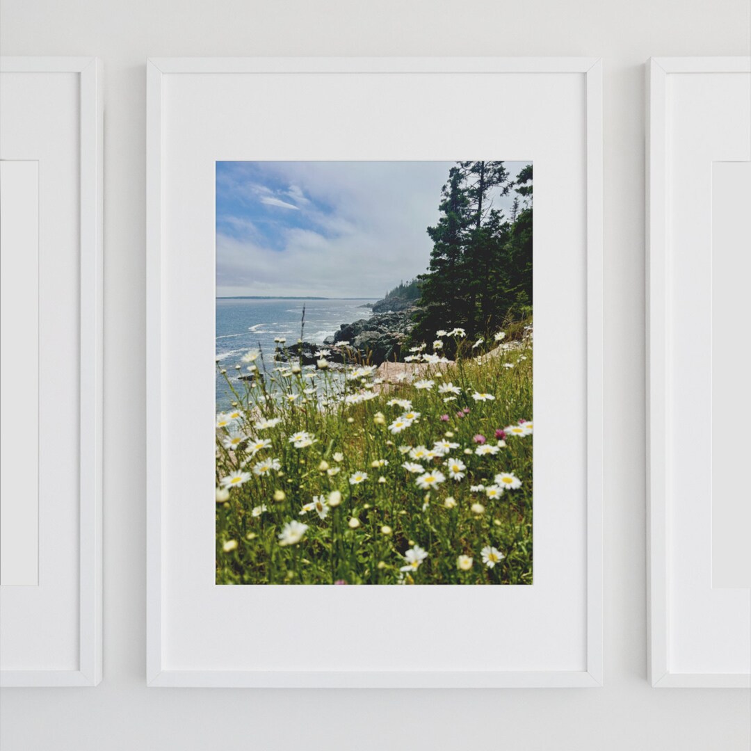 Acadia Flowers Print, Spring Landscape Art, Wall Art Decor, Flowers ...
