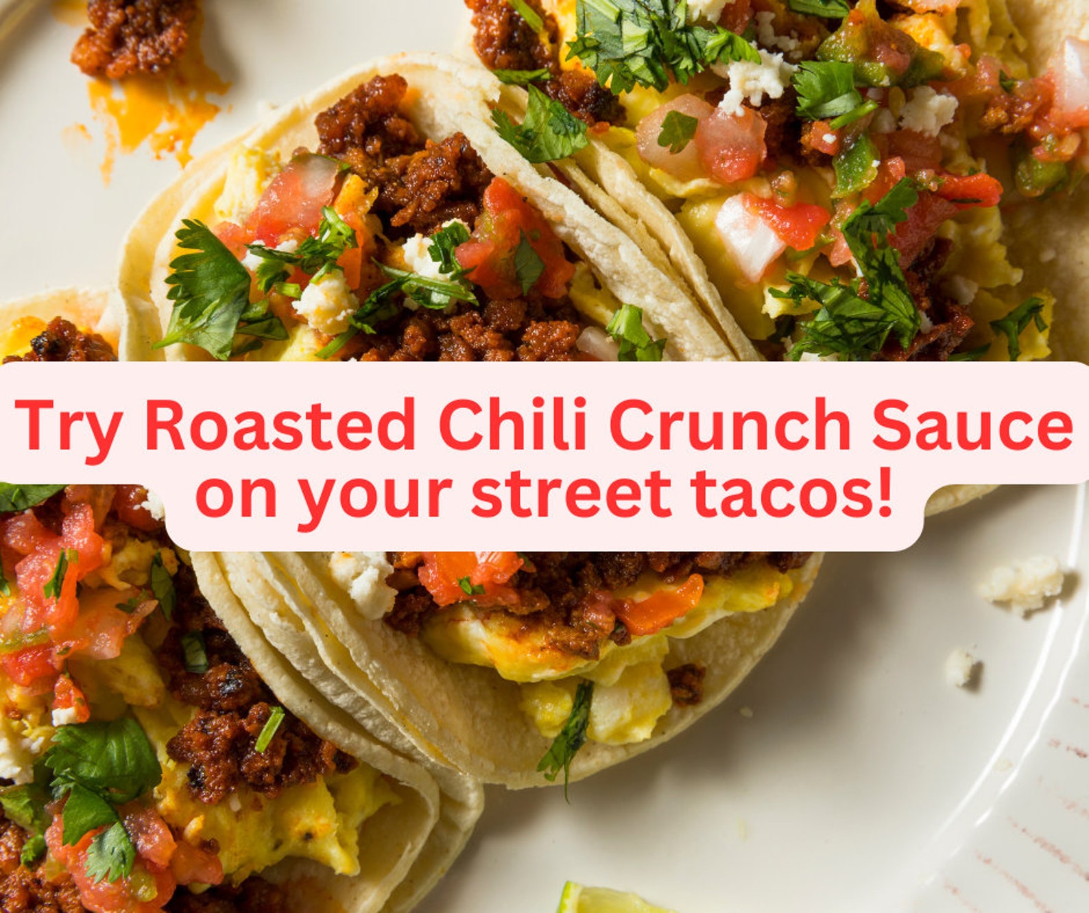 Snapping Turtle Roasted Chili Crunch Sauce a Mix of Sweet & Bold ...