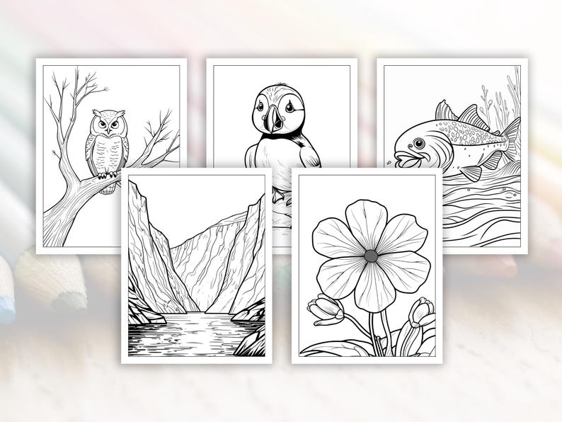 Alaska Coloring Pages Activity Book Kids Travel, Word Search ...