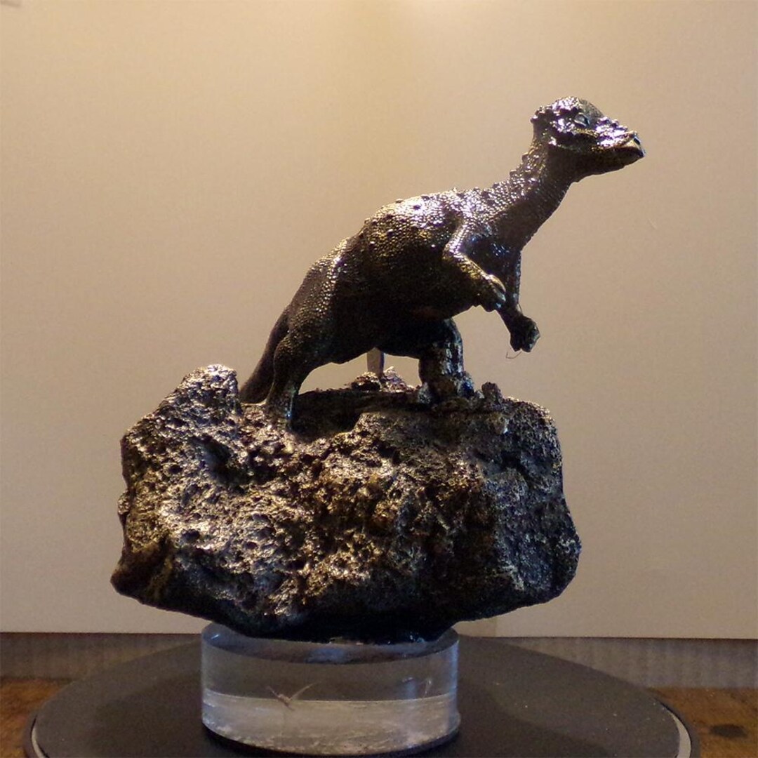 Pachycephalosaurus Rockasaurus - Etsy