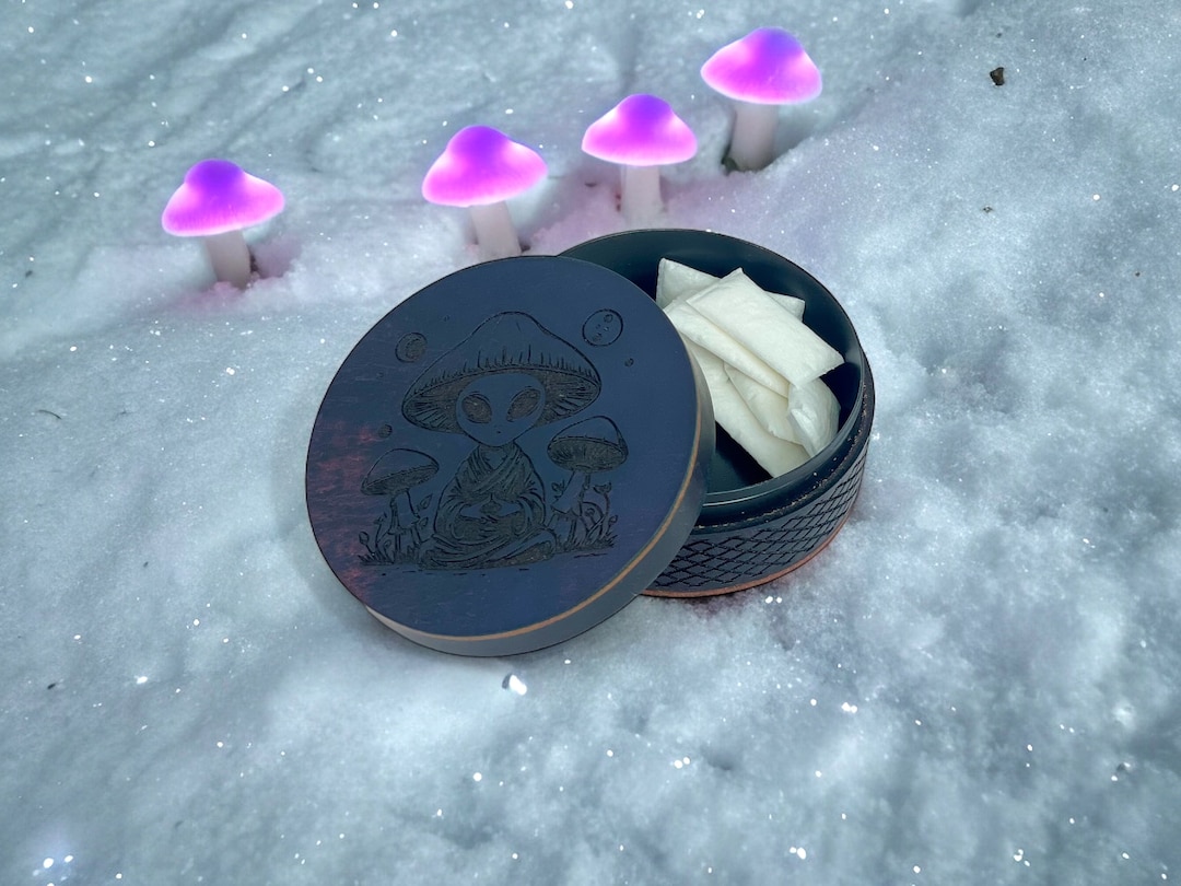 Saddleback Can Zyn Tin Saddle Leather Container for Zyn Pouches Zyn ...