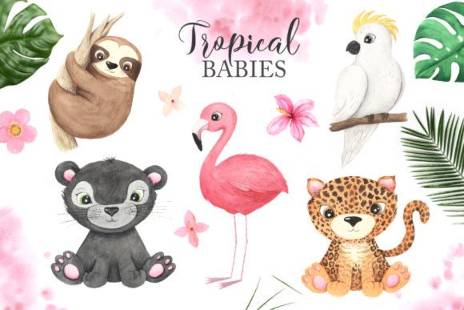 Watercolor Tropical Animals Clipart - High-quality Digital ...