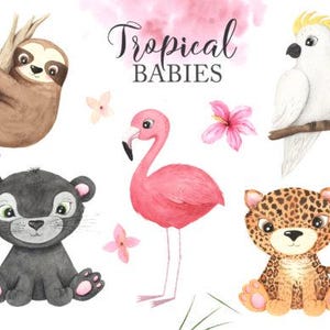 Watercolor Tropical Animals Clipart - High-quality Digital ...