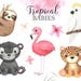 Watercolor Tropical Animals Clipart - High-quality Digital ...