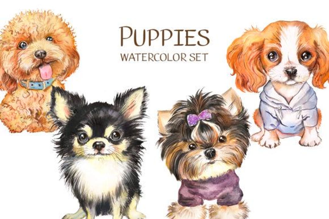 Puppy Watercolor Clipart Collection - Etsy