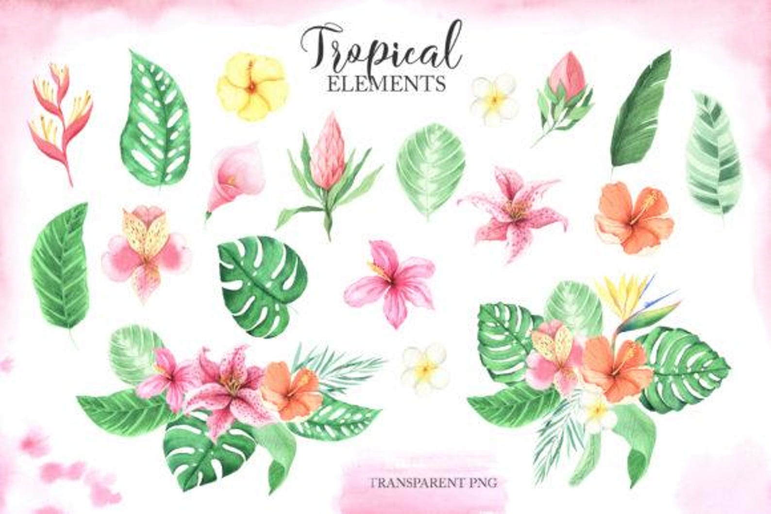 Watercolor Tropical Animals Clipart - High-quality Digital ...