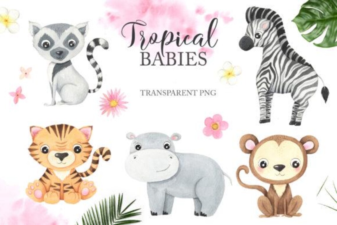 Watercolor Tropical Animals Clipart - High-quality Digital ...