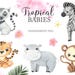 Watercolor Tropical Animals Clipart - High-quality Digital ...