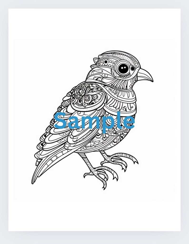 MINDFULNESS Digital Coloring Book Bees, Butterflies, Bugs & Birds - Etsy