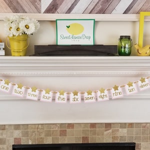 Photo Banner 12 Month - Twinkle Twinkle Little Star - PINK Gold - 1st ...