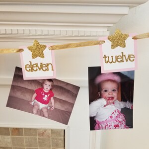 Photo Banner 12 Month - Twinkle Twinkle Little Star - PINK Gold - 1st ...