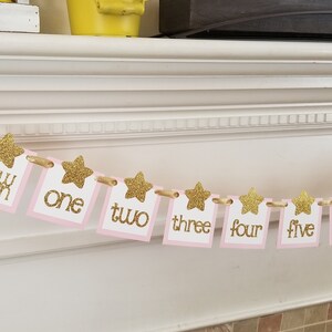 Photo Banner 12 Month - Twinkle Twinkle Little Star - PINK Gold - 1st ...