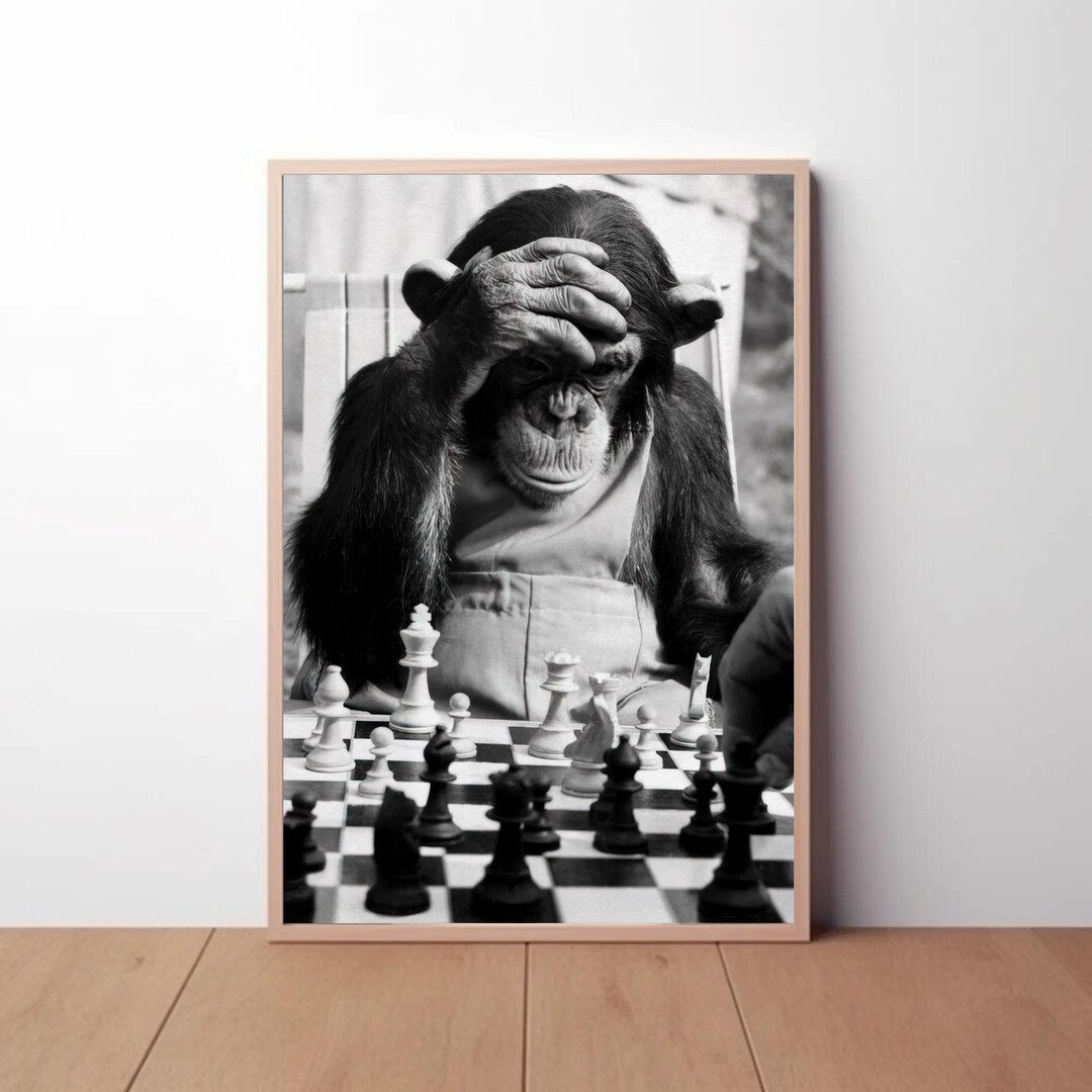 Chimpanzee Monkey Playing Chess Poster Print, Funny Timeless Vintage ...