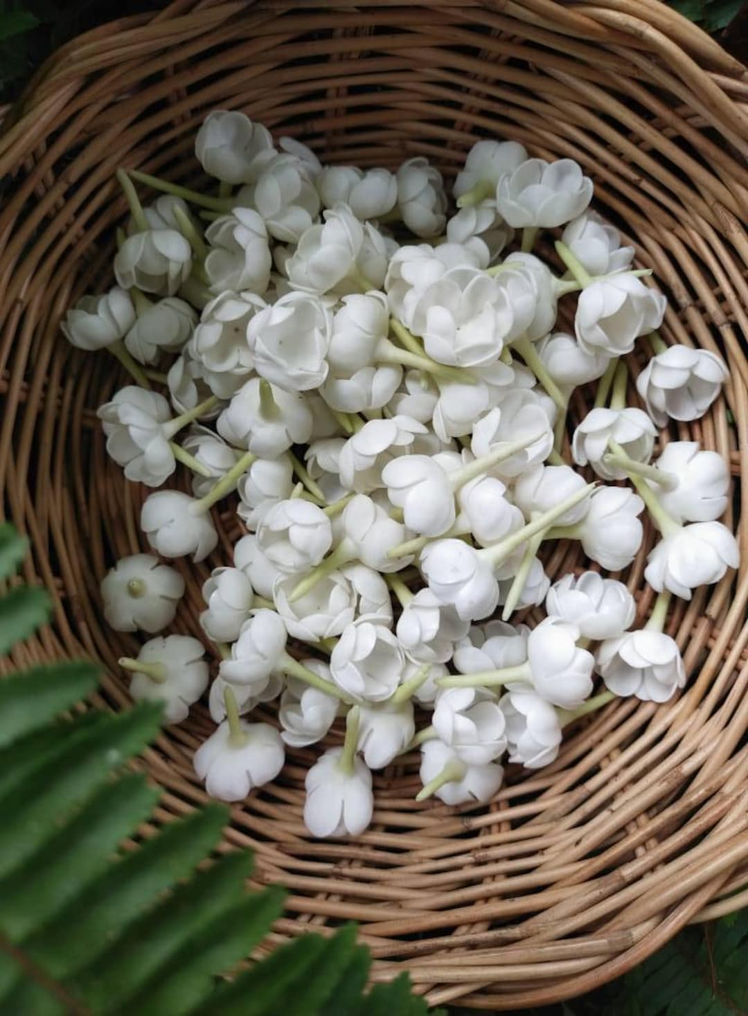Pikake Clay Flowers - Jasmine Bud Beads Made From Clay - Hawaiian Lei ...
