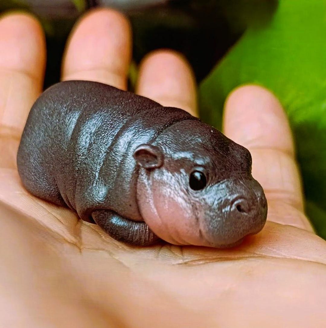 Moo Deng Pygmy Hippo Statue, Pygmy Hippo Model - Etsy