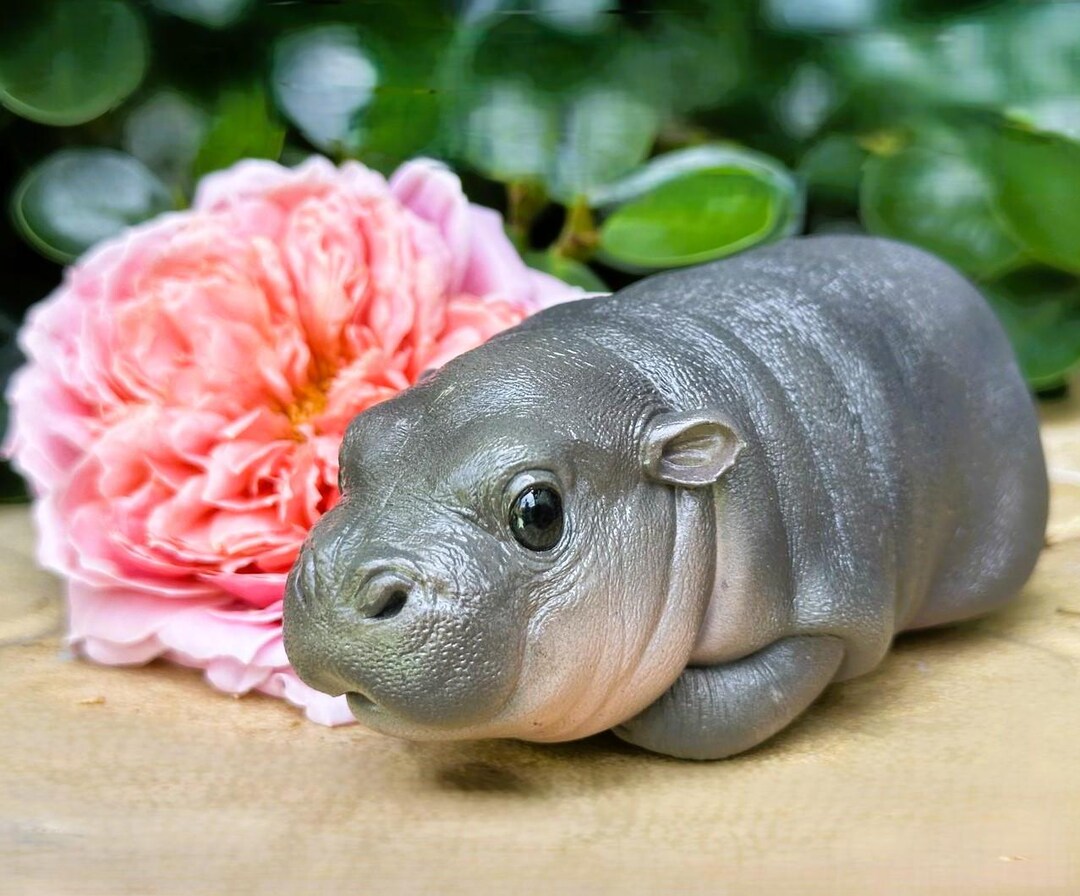 Moo Deng Pygmy Hippo Statue, Model, Moo Deng Baby Pygmy Hippo,moo Deng ...