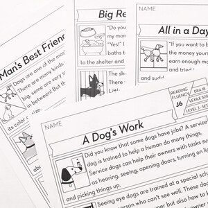 3rd Grade Printable Fluency and Reading Comprehension Passages for ...