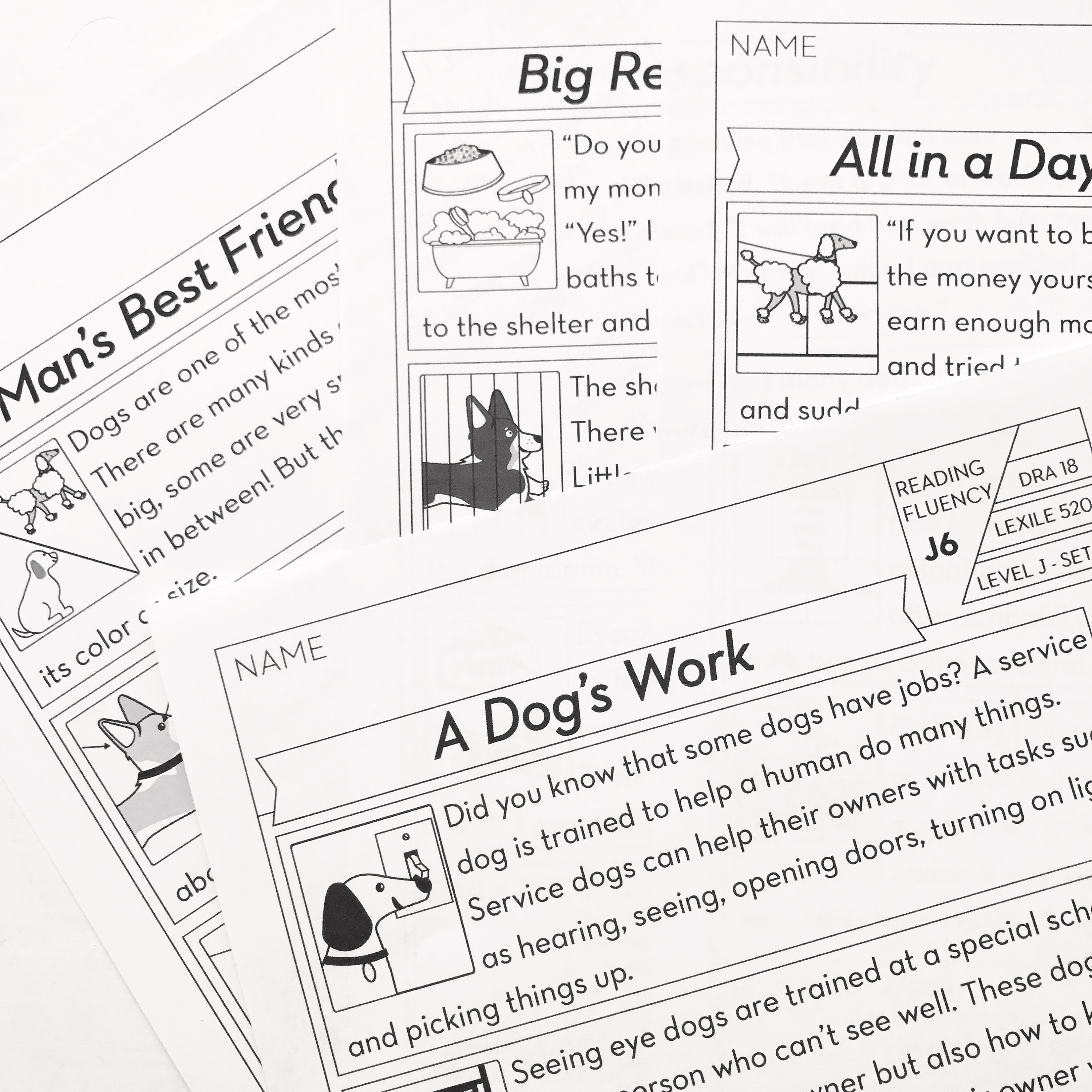 3rd Grade Printable Fluency and Reading Comprehension Passages for ...