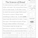 1st Grade Printable Fluency and Reading Comprehension Passages for ...