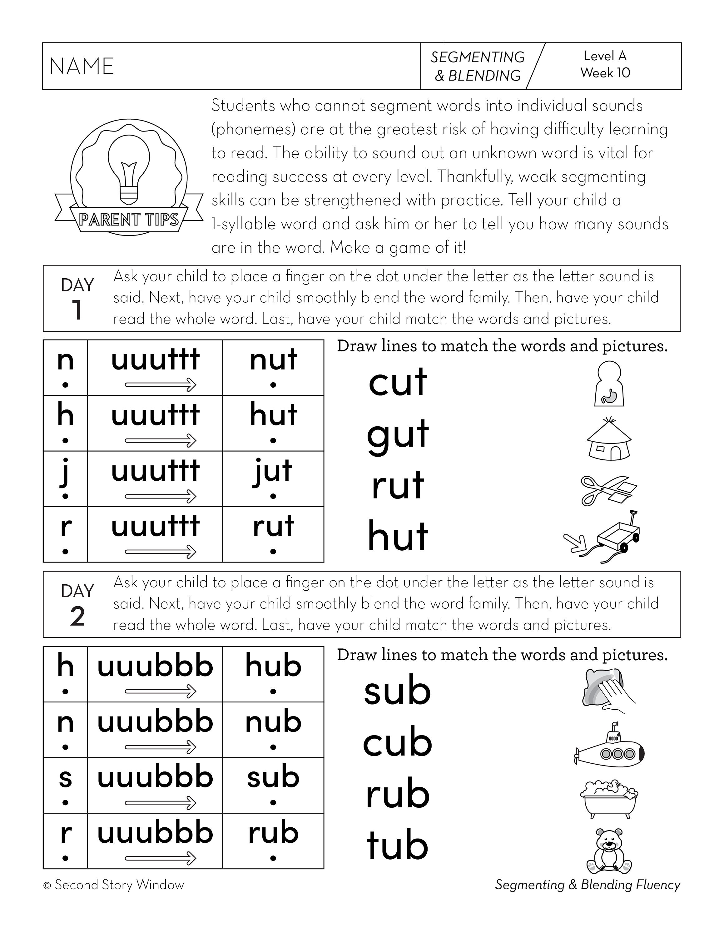 Sounding Out Words Segmenting & Blending CVC Fluency Practice | Etsy