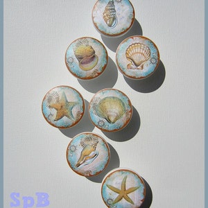 Beach Knobs - Etsy