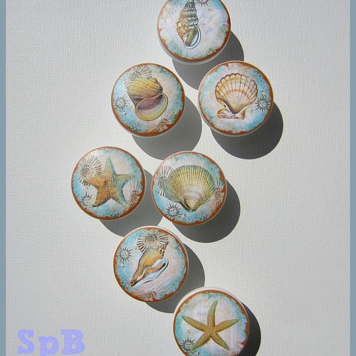 Seashell Knobs Nautical Knobs Beach Knobs Coastal Decor - Etsy
