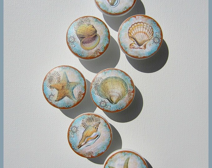 Seashell Knobs Beach Knobs, Nautical Knobs, Coastal Decor, White Dresser Knobs, White Drawer ...