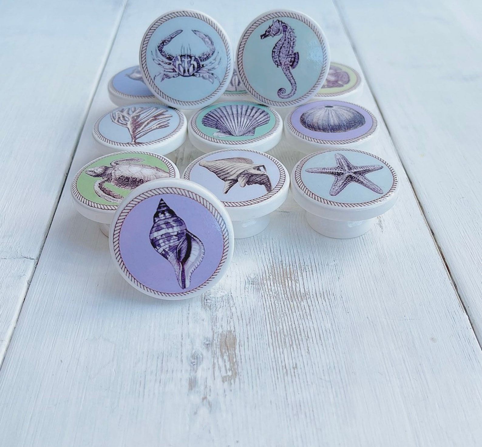 Seashell Knobs Nautical Knobs Beach Knobs Coastal Decor | Etsy