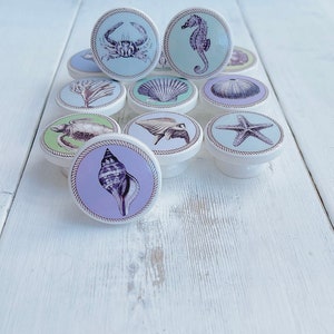 Seashell Knobs, Nautical Knobs, Beach Knobs, Coastal Decor, Dresser Knobs, Furniture Knobs ...