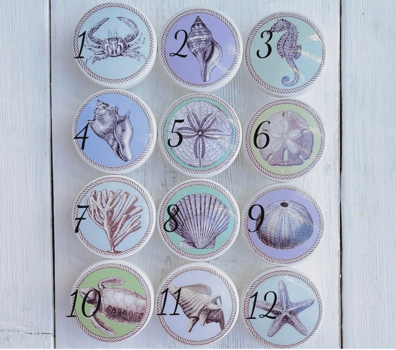 Seashell Knobs Nautical Knobs Beach Knobs Coastal Decor | Etsy