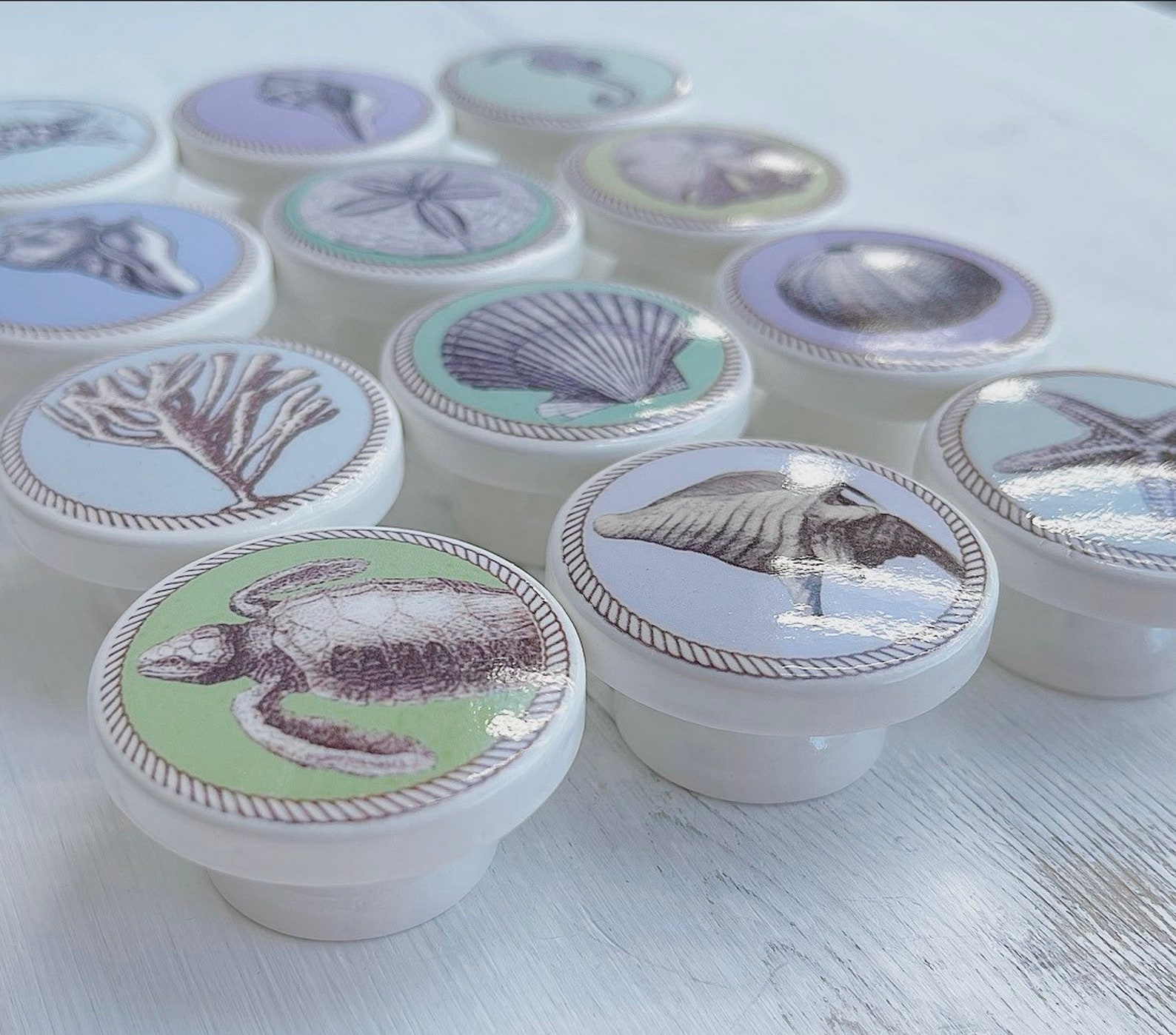 Seashell Knobs Nautical Knobs Beach Knobs Coastal Decor | Etsy