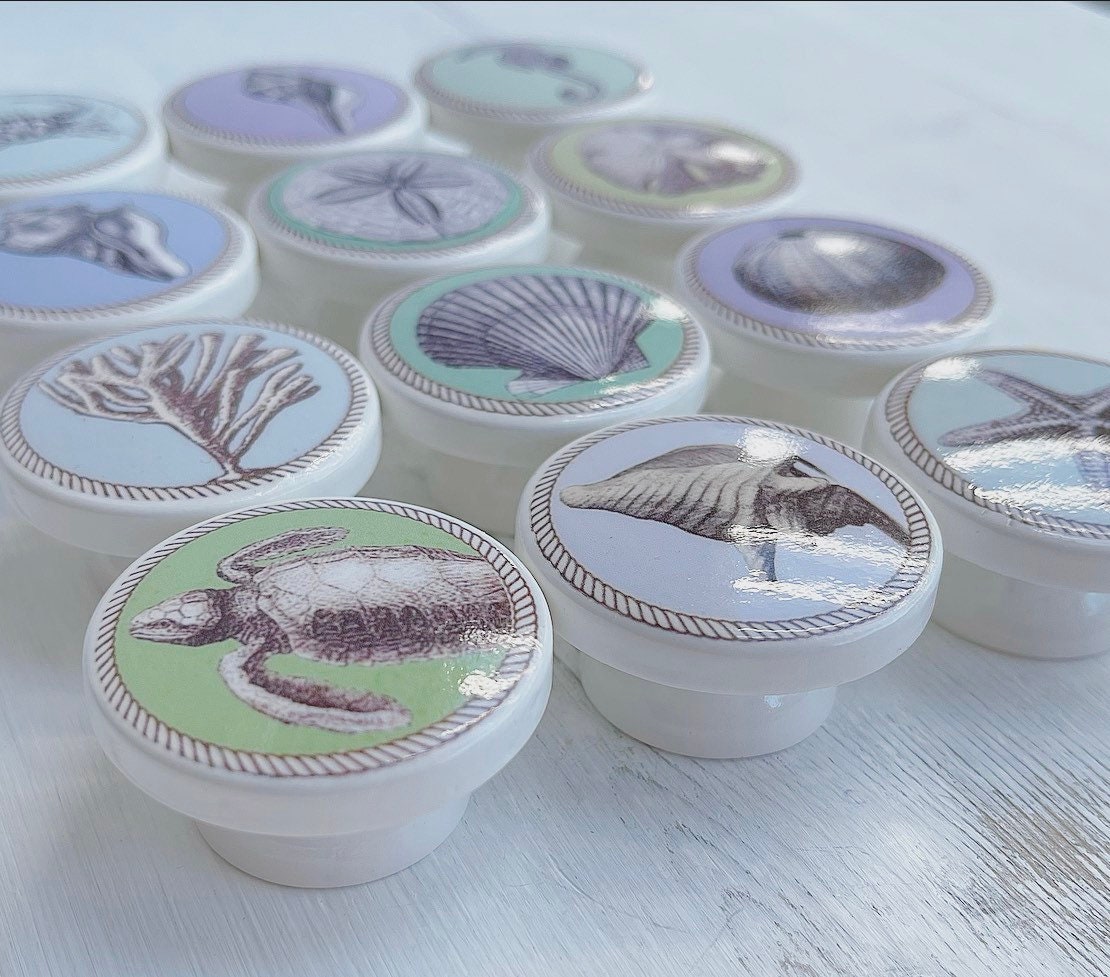 Seashell Knobs Nautical Knobs Beach Knobs Coastal Decor | Etsy