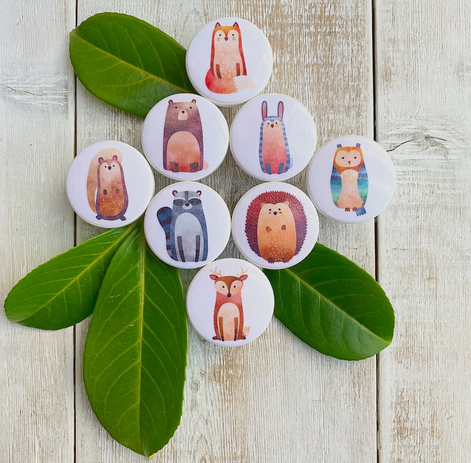 Woodland Animal Drawer Knobs Drawer Handles Dresser Pulls | Etsy