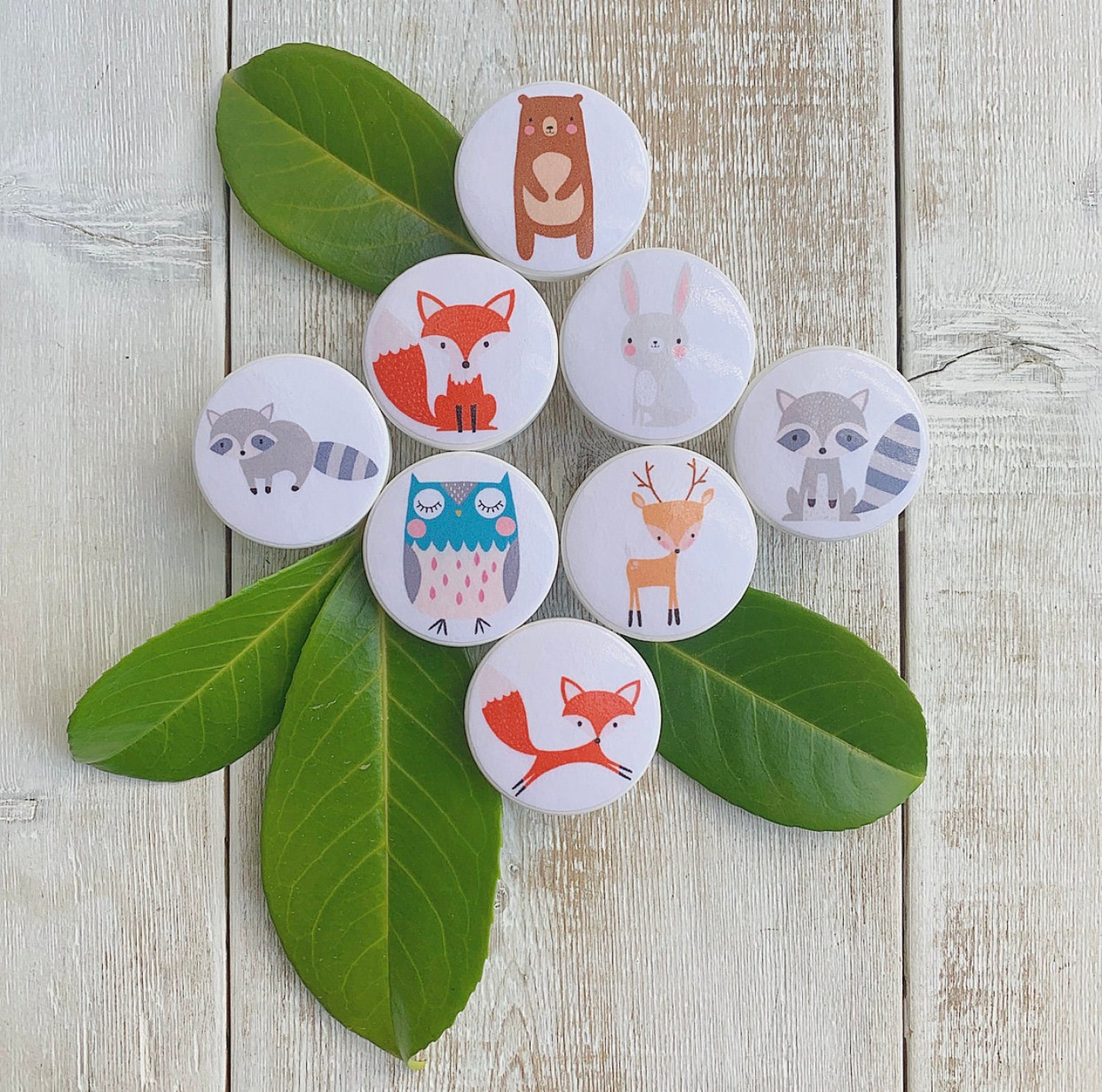 Woodland Animal Drawer Knobs Forest Animals Fox Drawer | Etsy