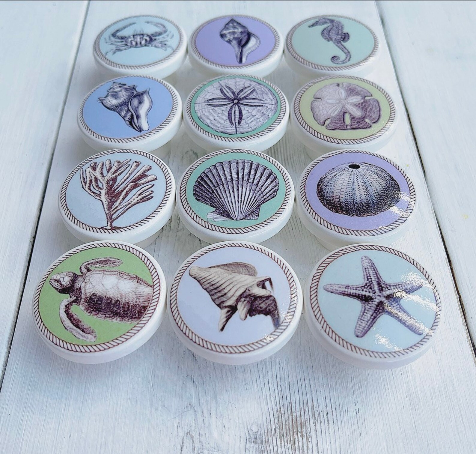Seashell Knobs Nautical Knobs Beach Knobs Coastal Decor | Etsy