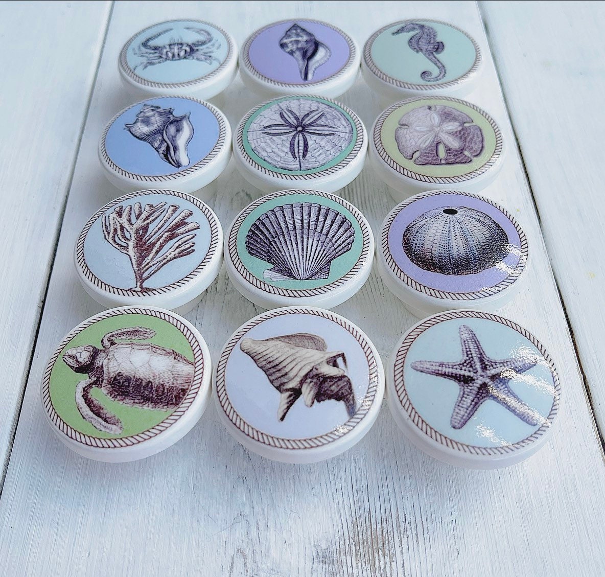 Seashell Knobs Nautical Knobs Beach Knobs Coastal Decor | Etsy