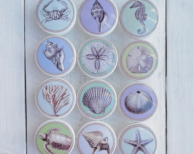 Seashell Knobs, Nautical Knobs, Beach Knobs, Coastal Decor, Dresser Knobs, Furniture Knobs ...