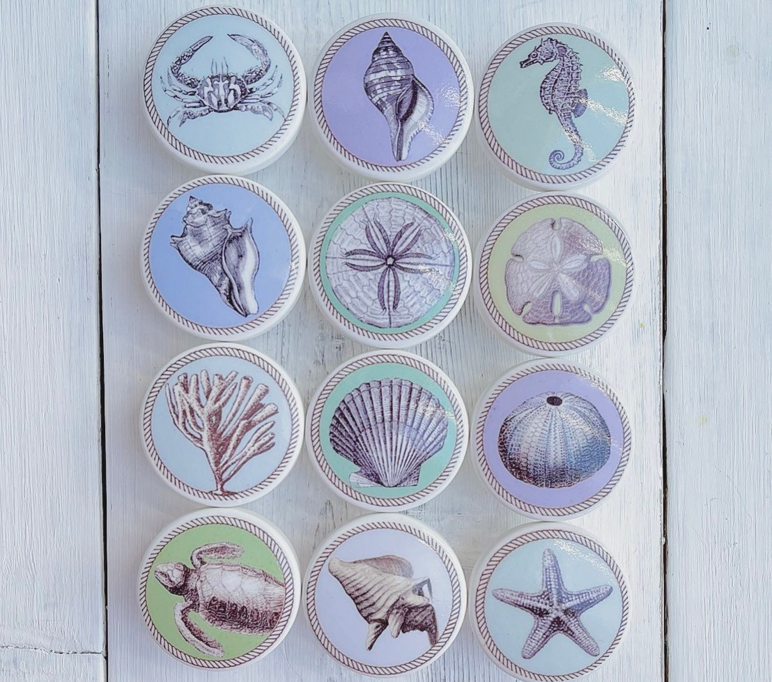 Seashell Knobs Nautical Knobs Beach Knobs Coastal Decor | Etsy