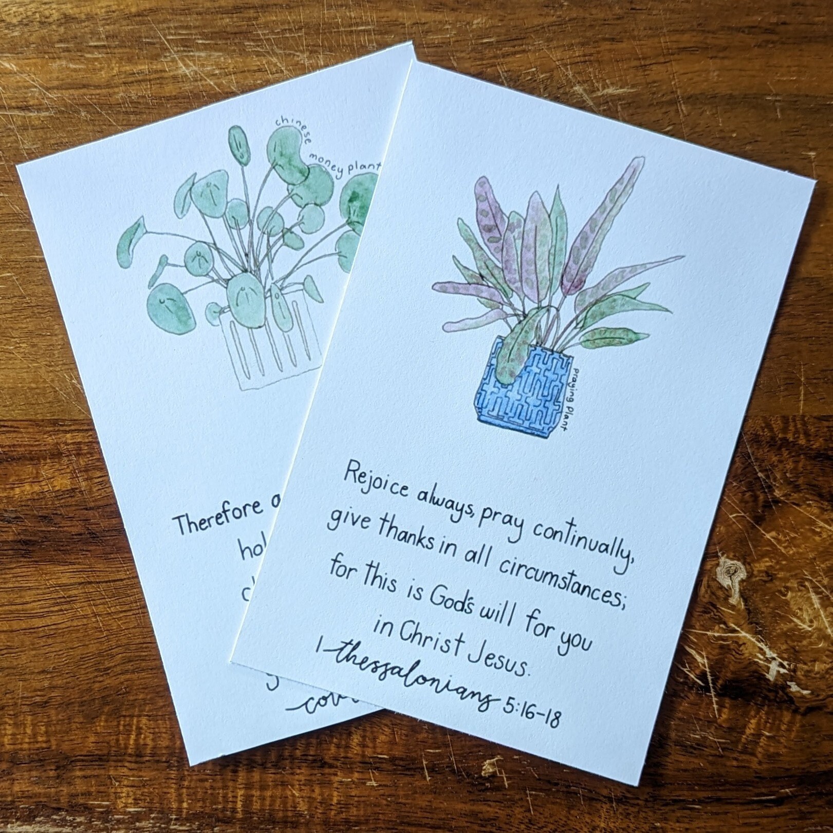 1 Thessalonians 5:16-18 Potted Plant Set 4x6 Bible Verse Card Digital ...