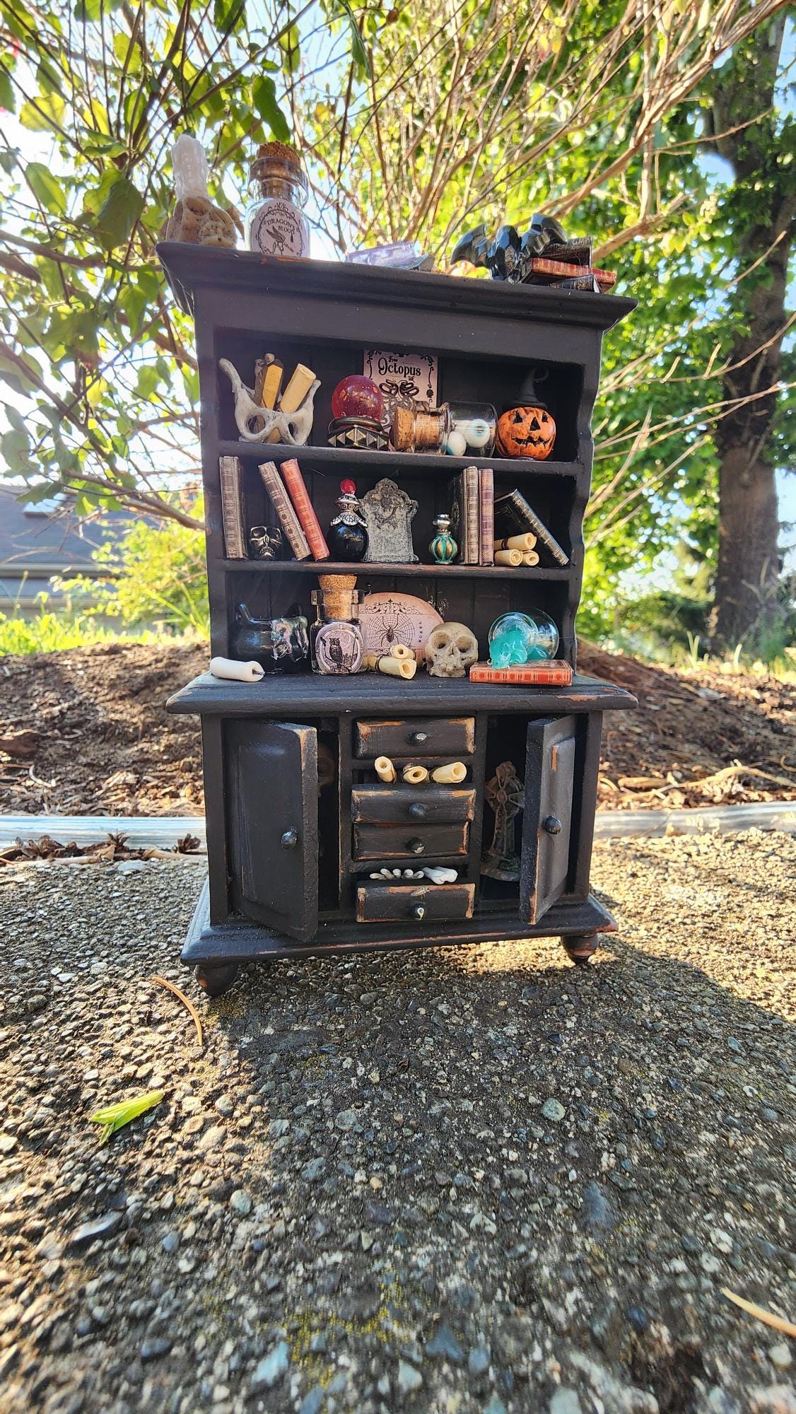 Witchy Shelf - Etsy