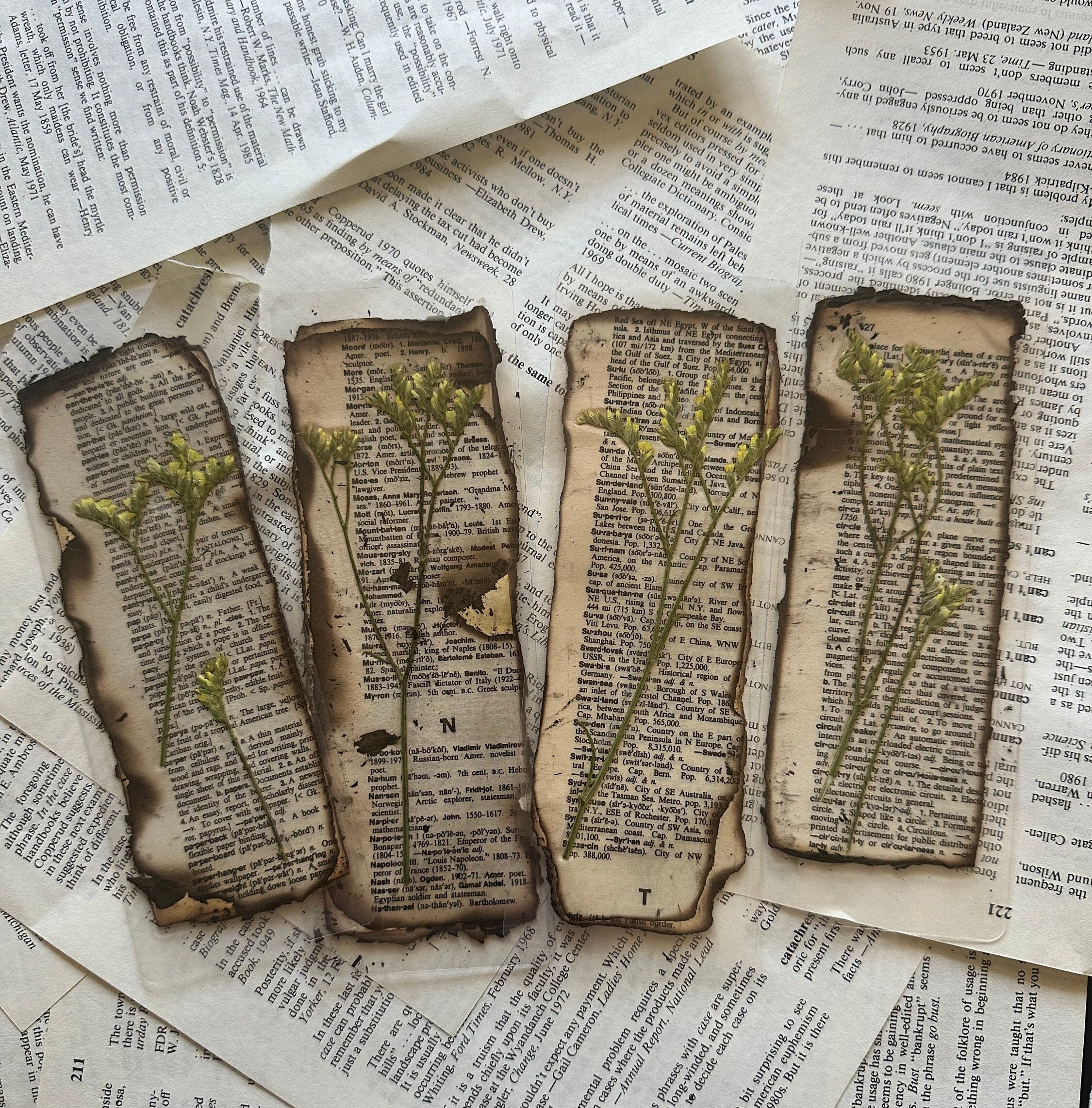 Handmade Laminated Pressed Yellow Flower Bookmark With Burnt Dictionary ...