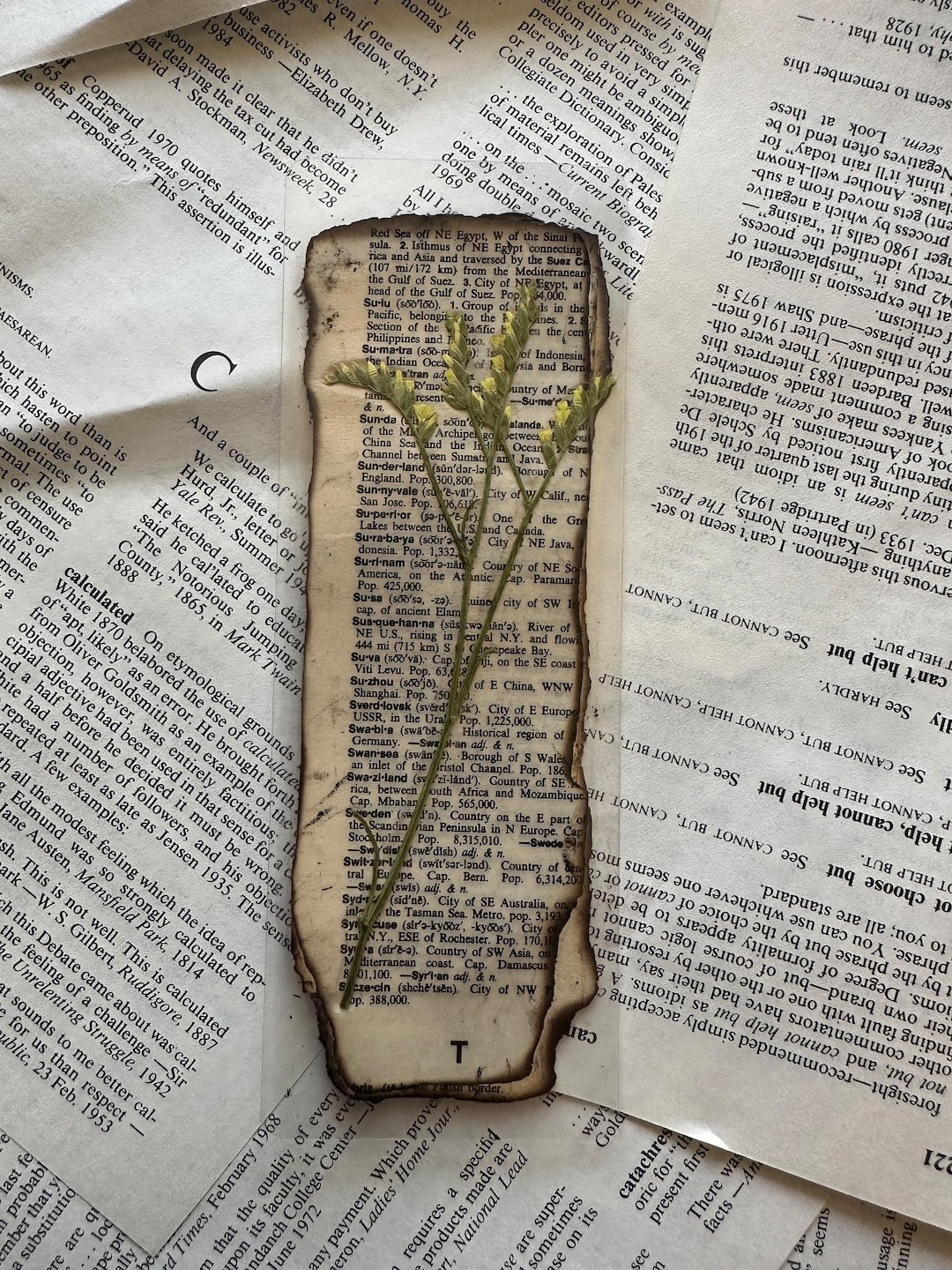 Handmade Laminated Pressed Yellow Flower Bookmark With Burnt Dictionary ...